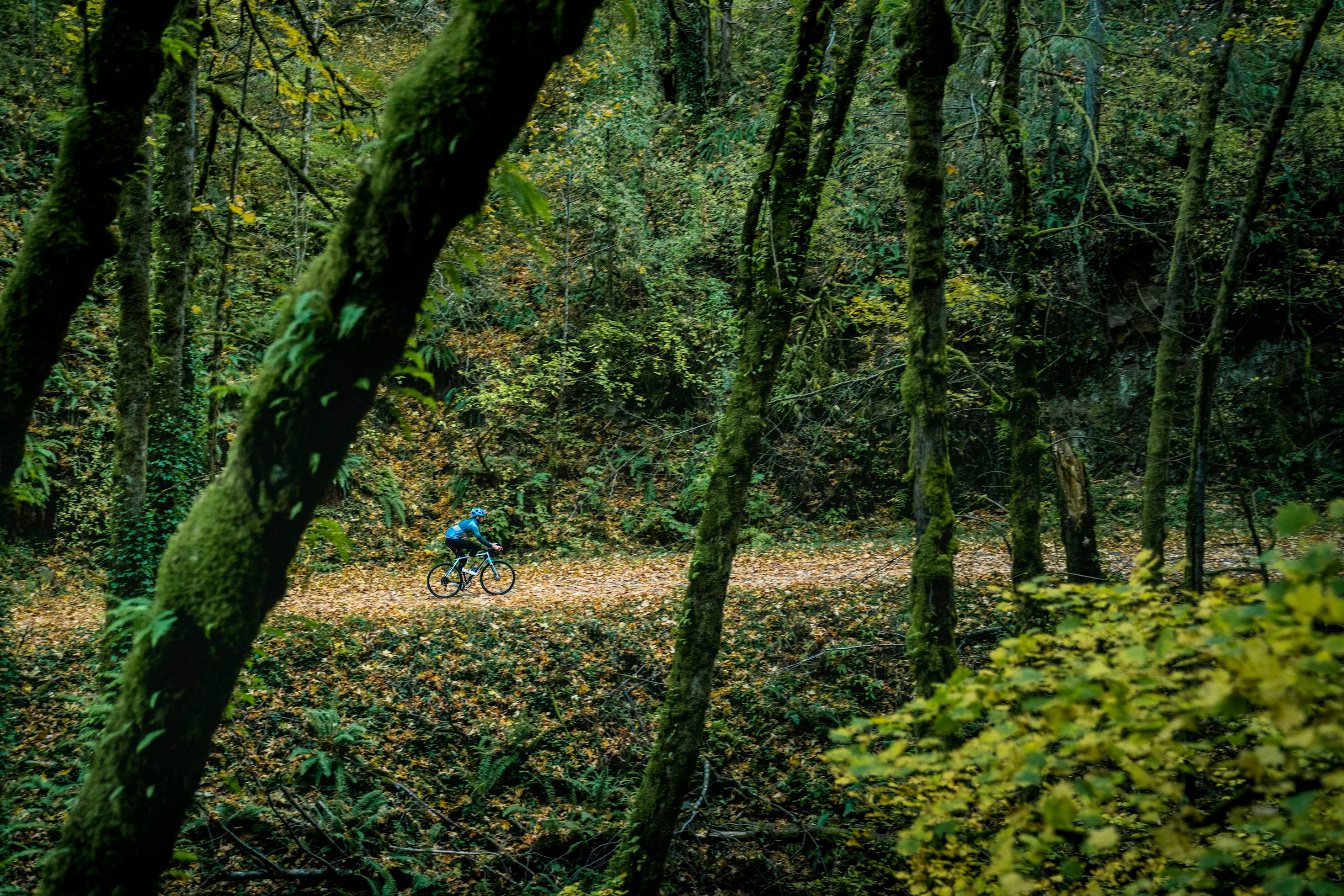 Fall Cycling - How to Conquer Mother Nature | The Bikesmiths